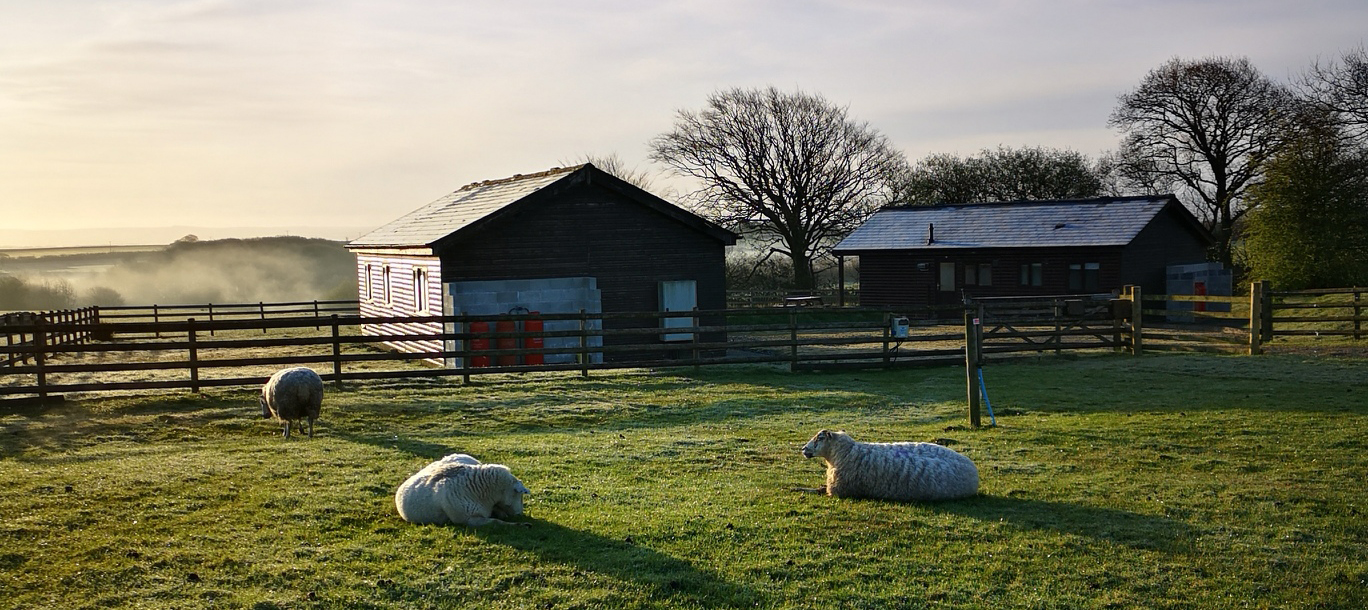 | Holiday Lodges
